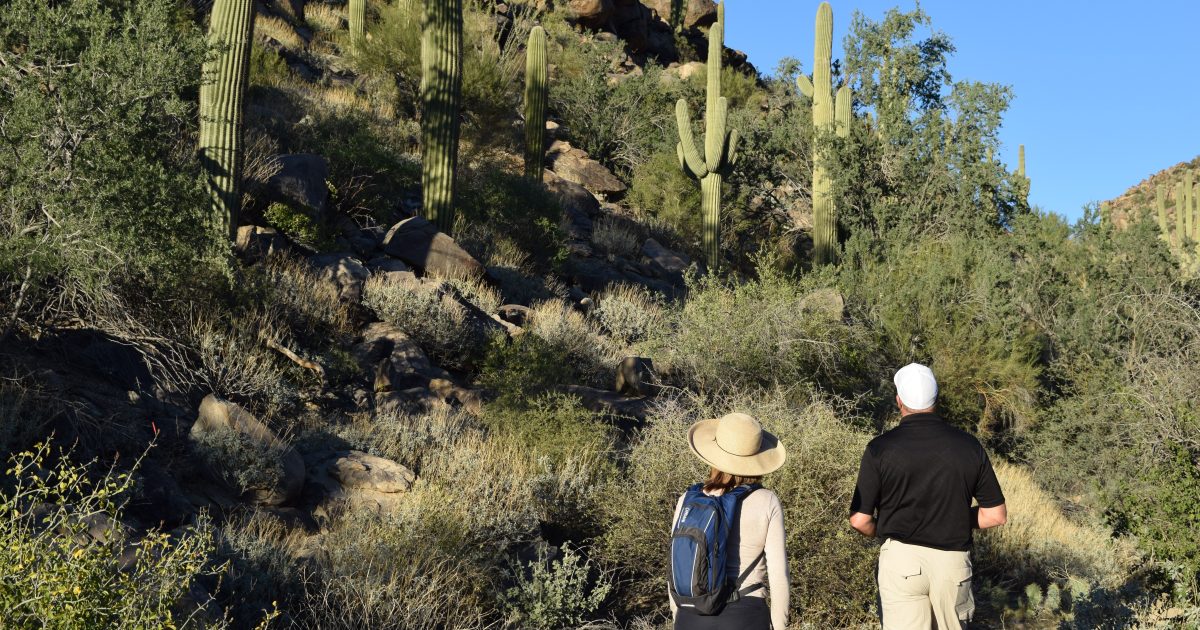 Town of Marana Short-Term/Vacation Home Regulations | Discover Marana