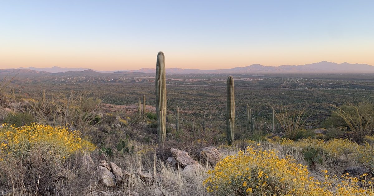 Top Easter Events & Activities in Marana, AZ | Discover Marana