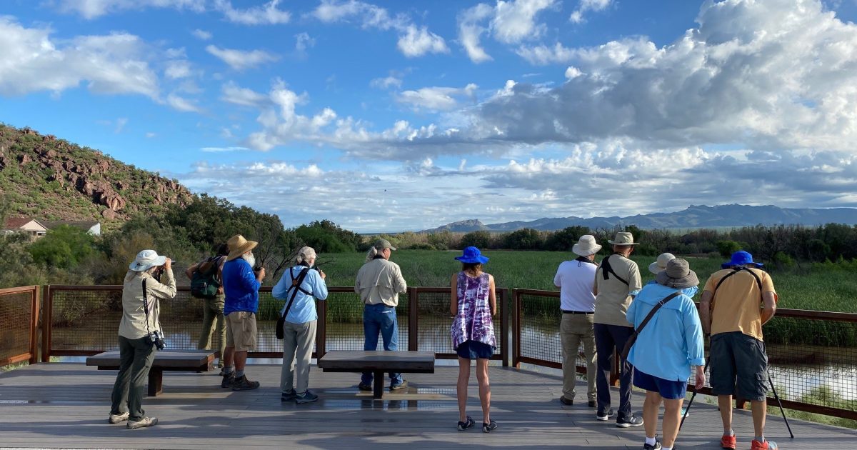 Birding Hotspots In Southern Arizona | Discover Marana