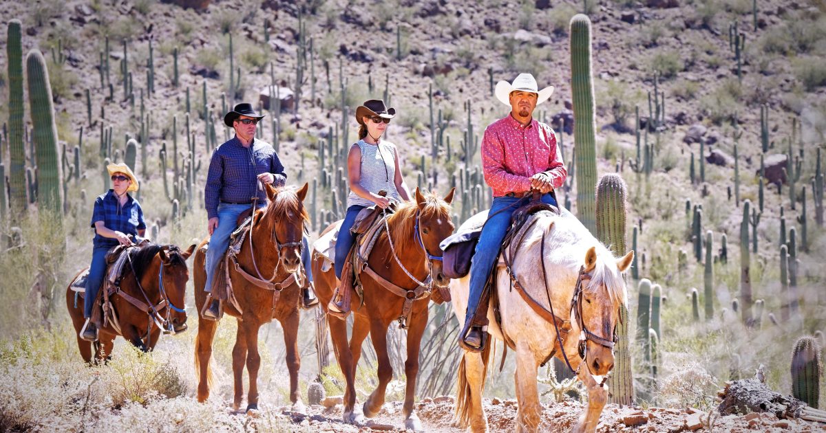 Ranching, Farming, & Western Heritage | Discover Marana