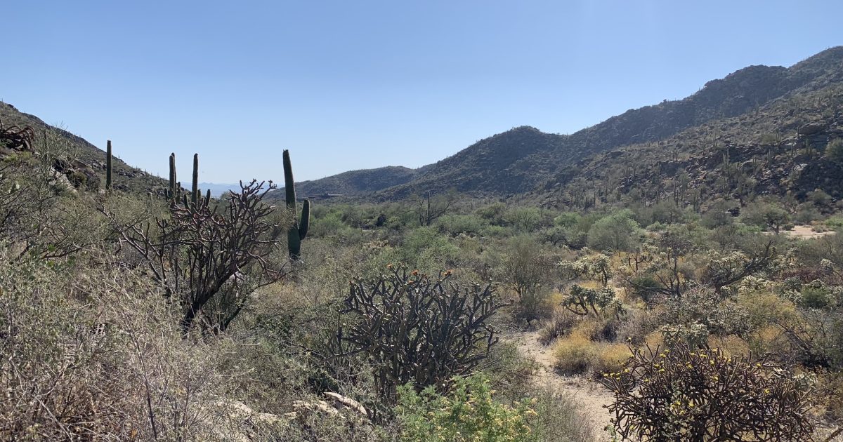 Wild Burro Trail and Tortolita Mountain Trail System in Marana ...